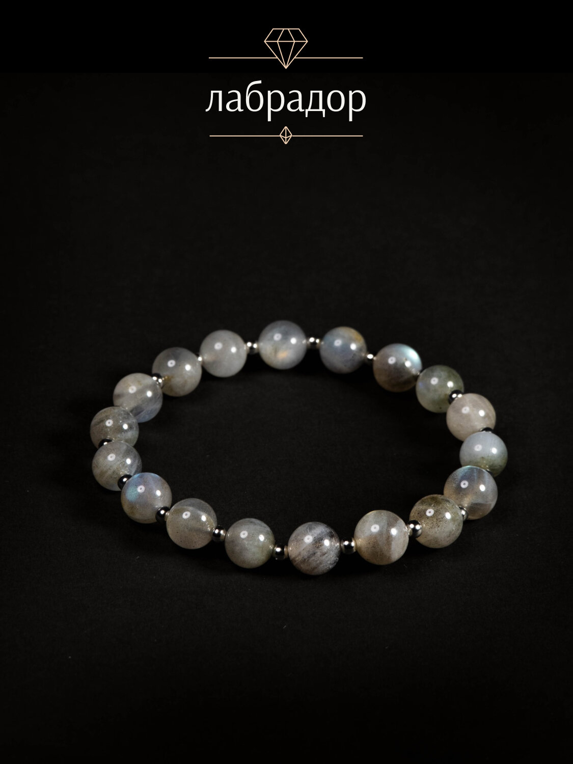 Эластичный браслет, лабрадор