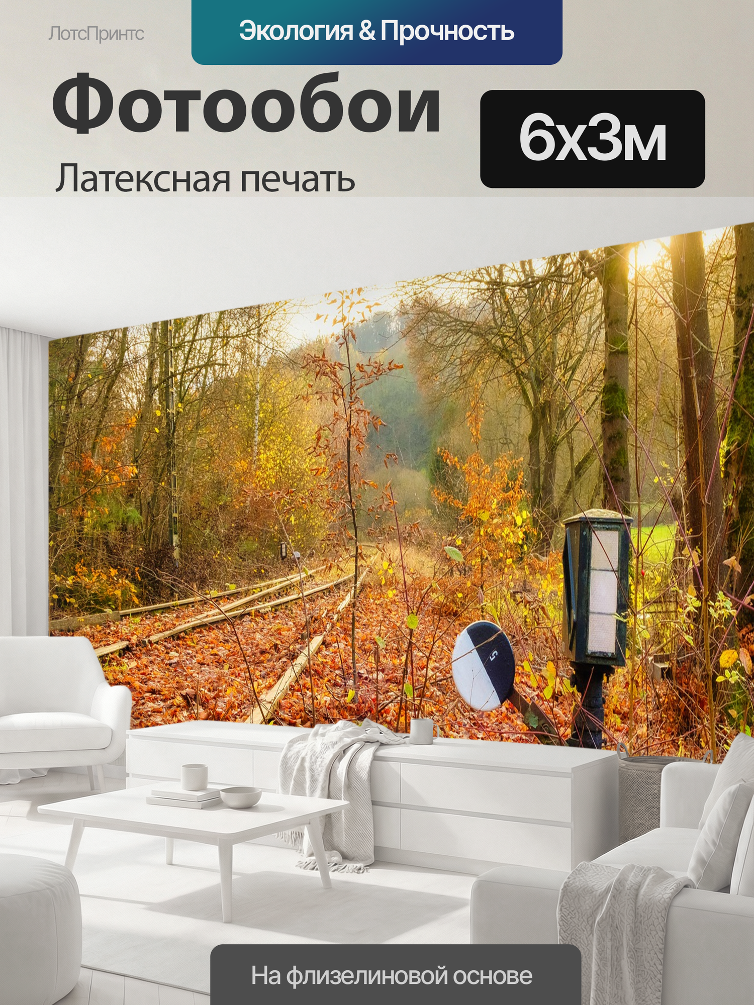 Фотообои моющиеся ударопрочные "Рельсы, железнодорожные пути, железная дорога" 600x300 см. латексная печать