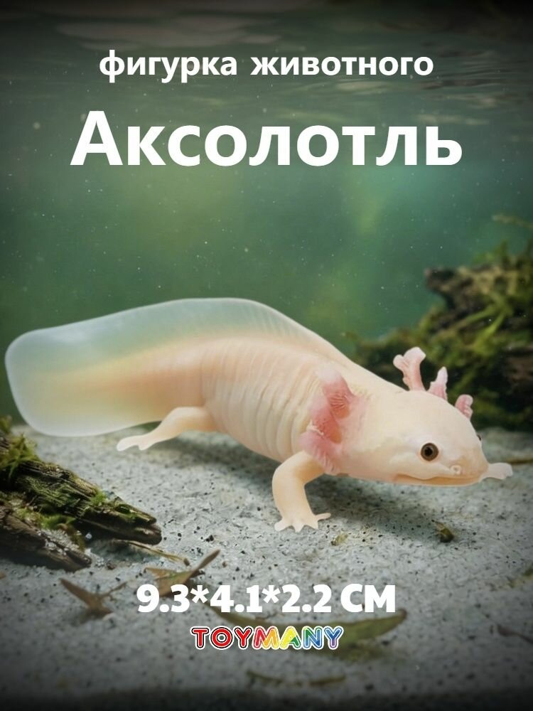 Toymany фигурка животного-рептилии, фигурка саламандры-аксолотля, подарок и коллекция