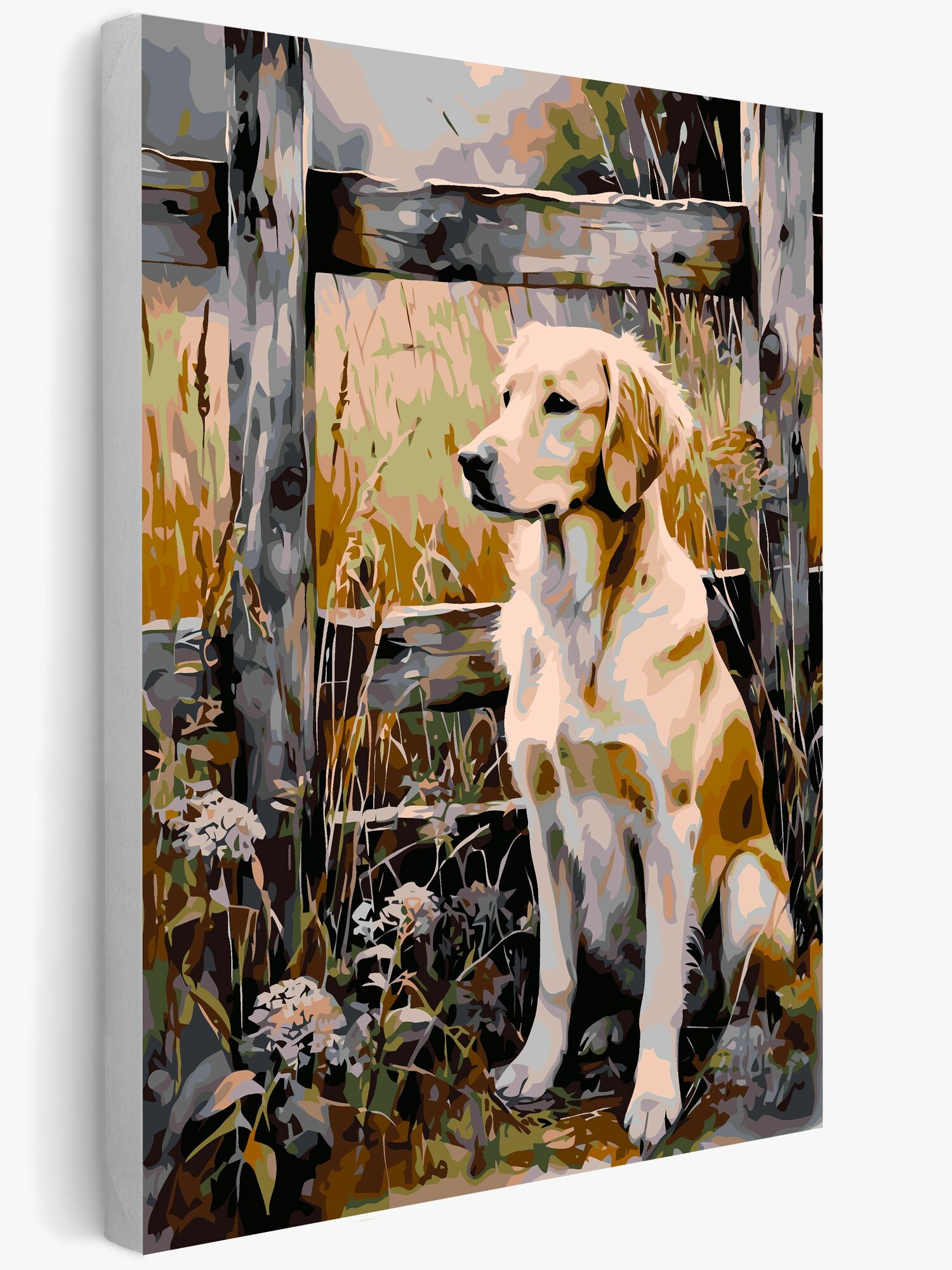 Картина по номерам лабрадор