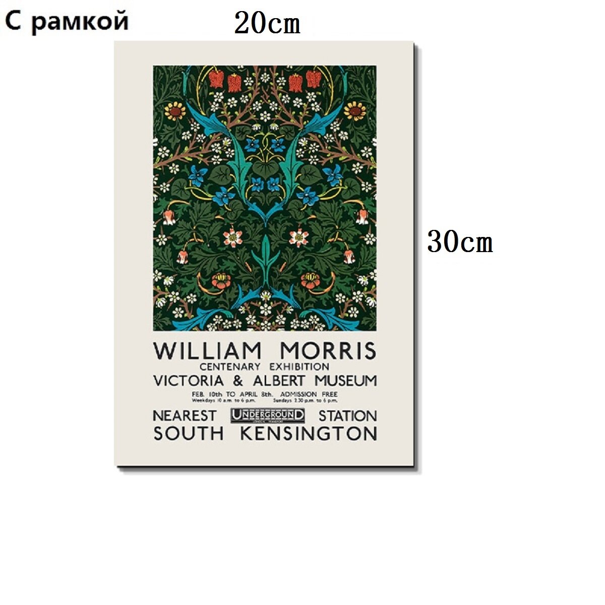 Ретро - Плакаты Растения Цветы Современные Домашние Декоративные Рисунки, Искусство На Стенах