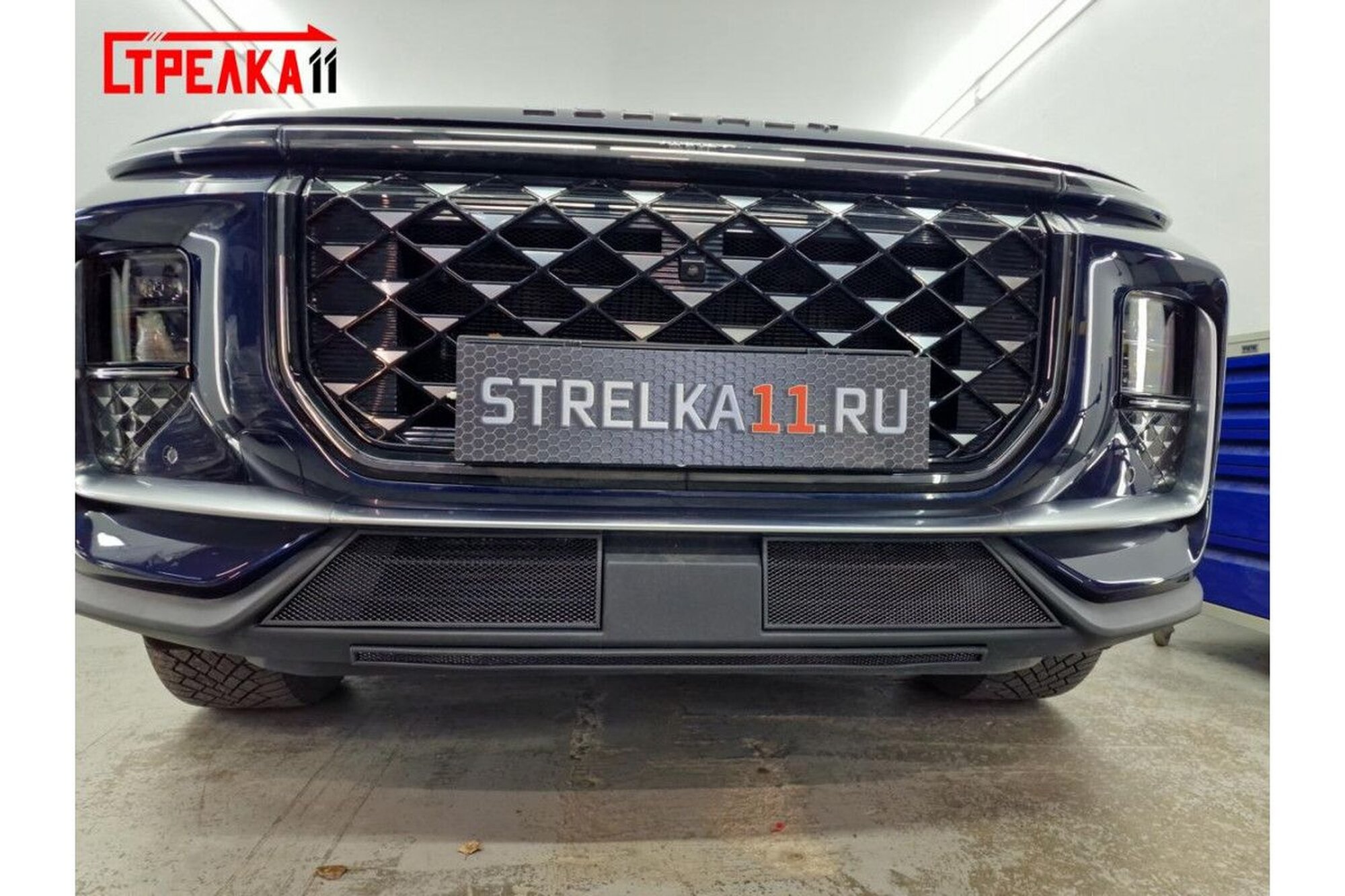 Защитная сетка радиатора с окантовкой и защелками для Soueast S09 2024- (I), 3шт