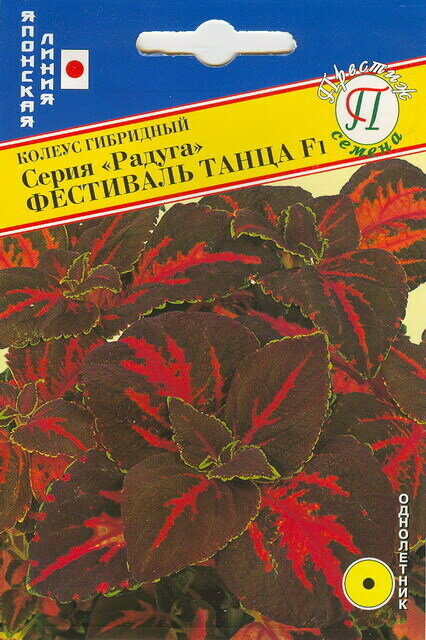 Семена колеуса Престиж Радуга Фестиваль танца, высокорослый гибрид, 10 шт