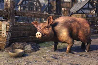 The Elder Scrolls Online - Bristlegut Piglet + 15 days of TESO Plus DLC Digital Download Ключ