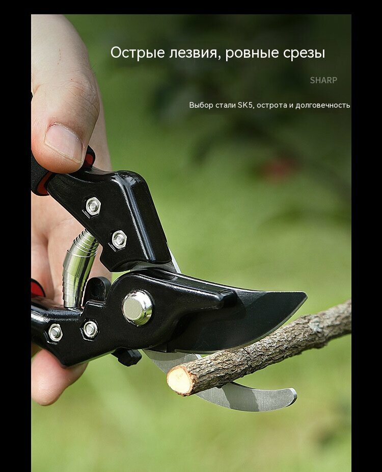 Садовые ножницы для обрезки, ножницы для толстых веток, секаторы, ножницы для сбора плодов