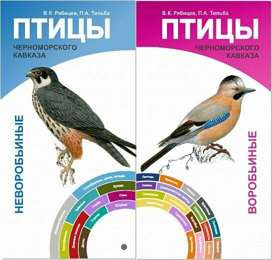 Птицы Черноморского Кавказа. Воробьиные и неворобьиные: веер-определитель