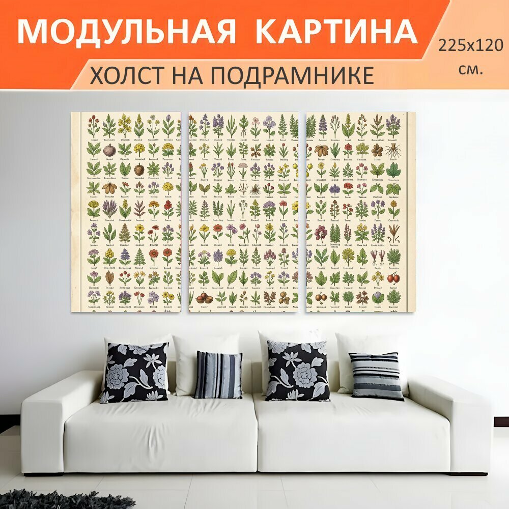 Модульная картина на холсте "Ботанический гербарий с цветами и травами. Старинная ботаническая композиция с множеством полевых." триптих на подрамнике 225х120 см. для интерьера