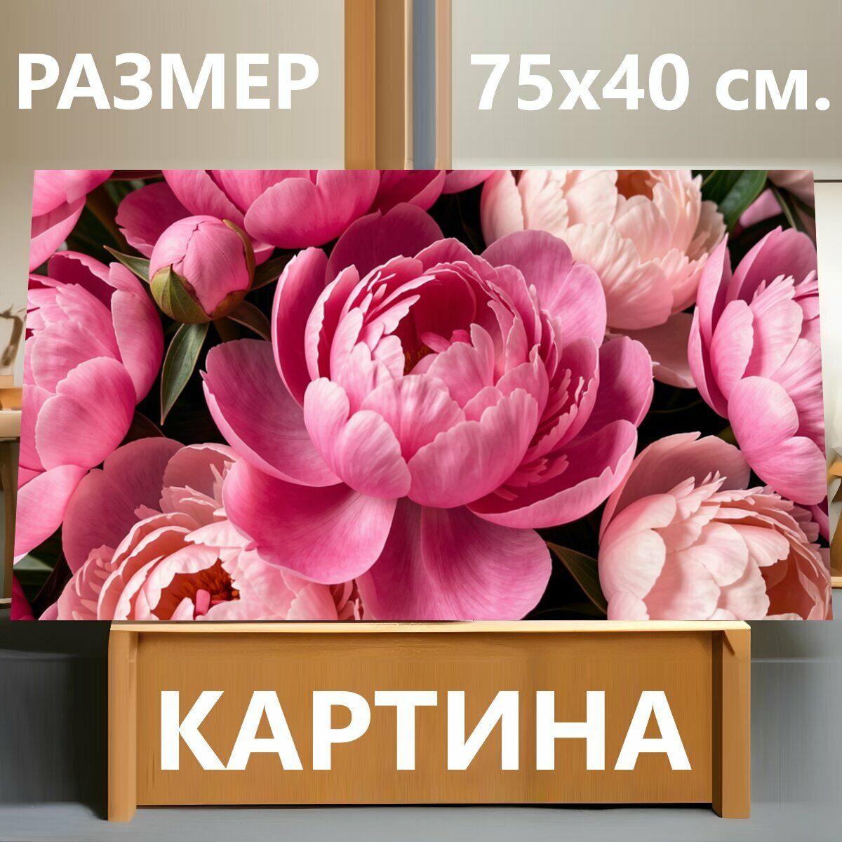 Картина на холсте "Розовые пионы в нежном букете. Пышные садовые цветы в оттенках фуксии, розового и кремового, крупным планом. Нежная." на подрамнике 75х40 см. для интерьера