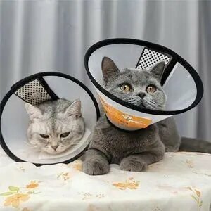 Кошачий конус восстанавливает конус (Размер: L)