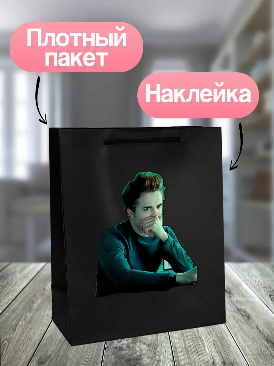 Пакет подарочный Сумерки, упаковка для подарка, 26х31 см — фото 1