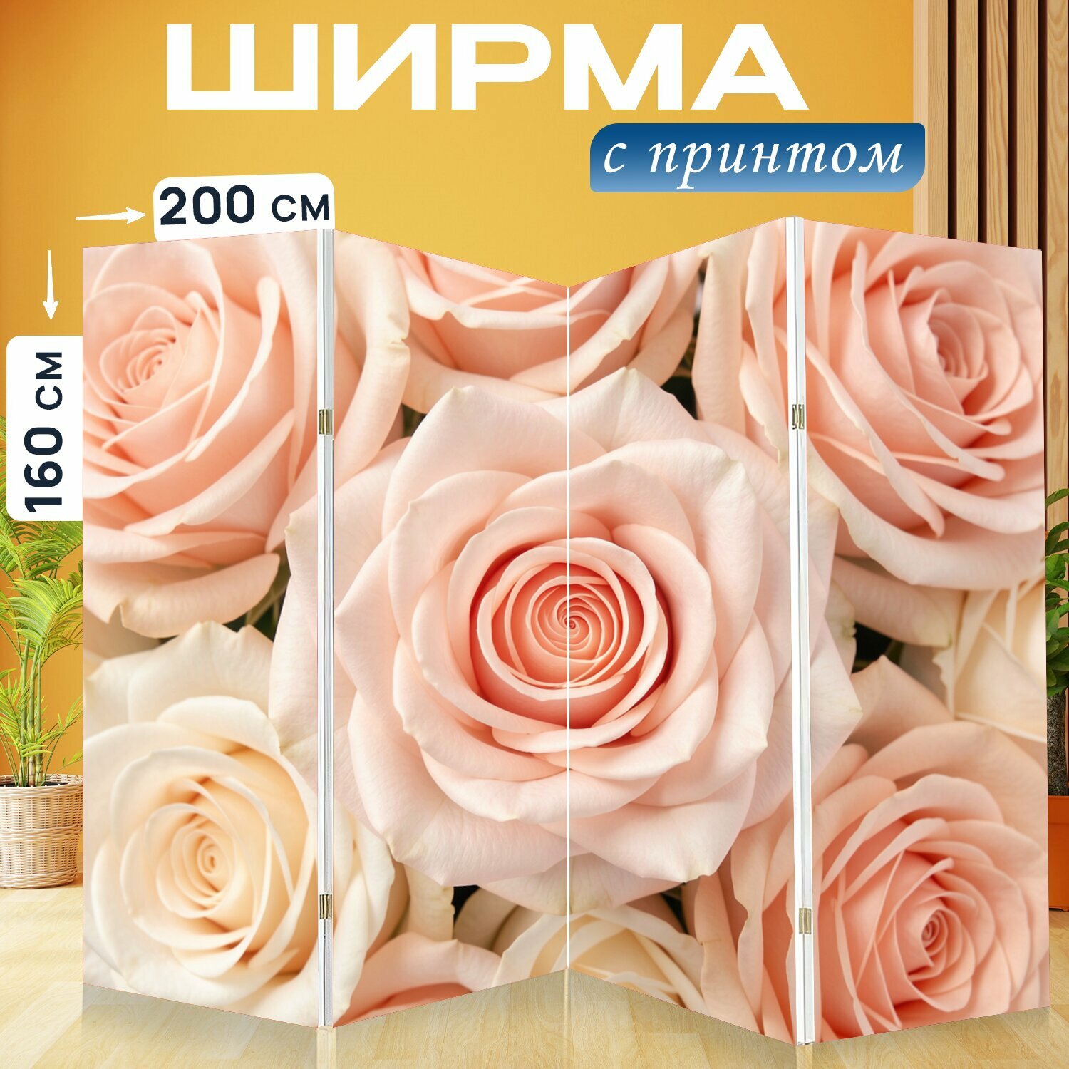 Ширма "Пастельные розовые розы. Нежные бутоны в кремово-розовой гамме, крупный план распустившихся цветов." перегородка для зонирования комнаты с принтом 200x160 см. на холсте