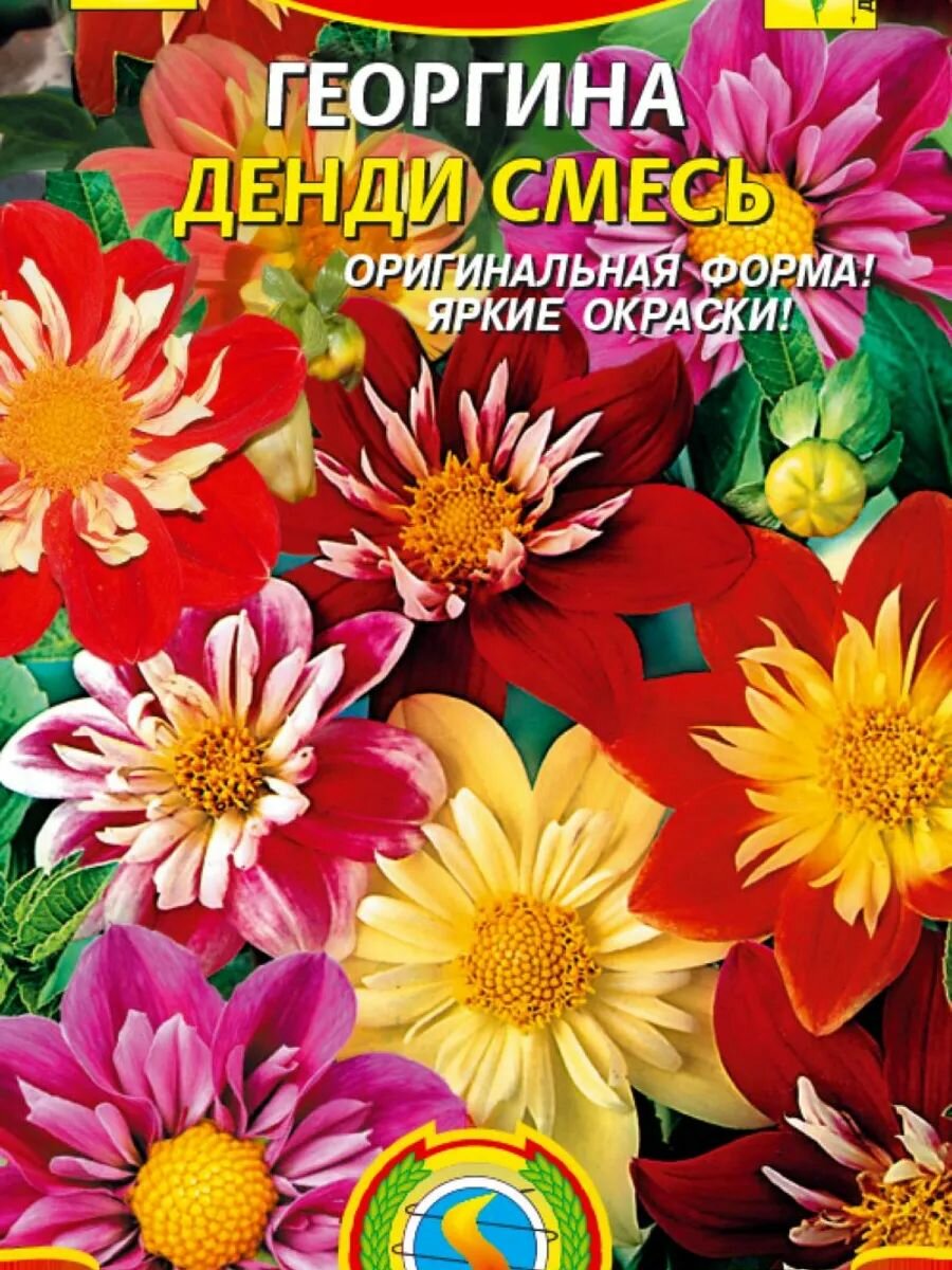 Георгина Денди 13 шт, Плазменные семена