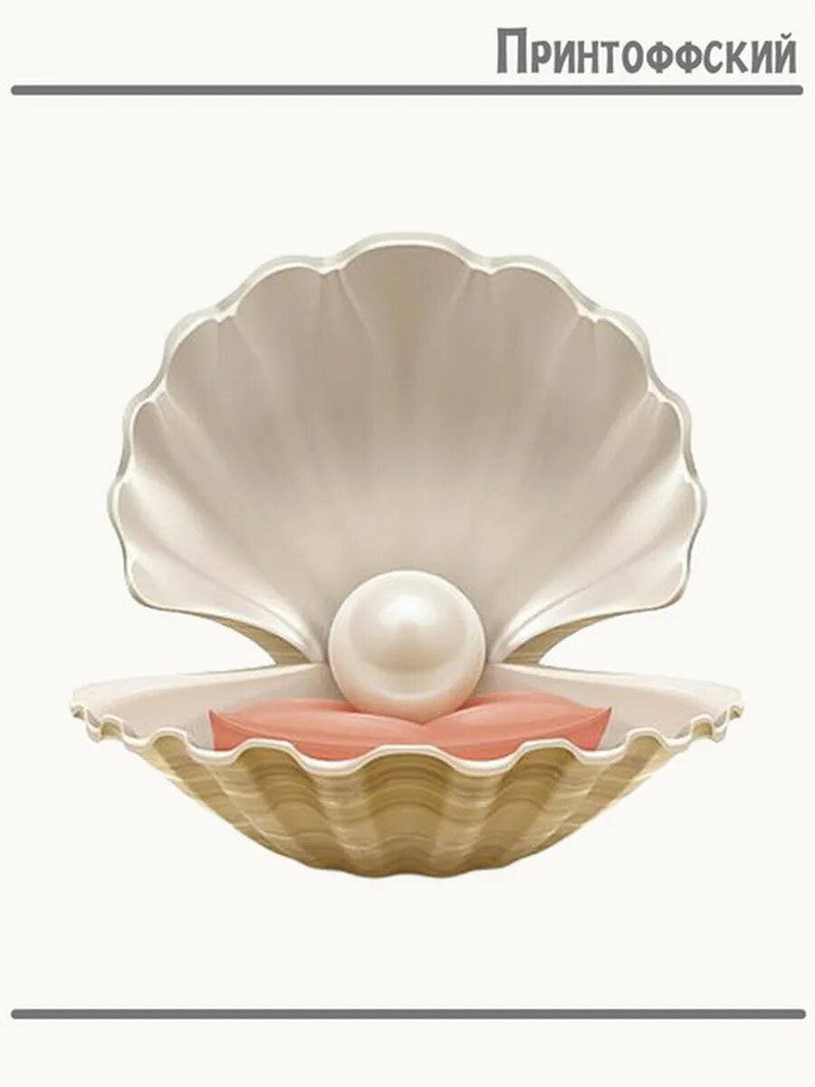 Термонаклейка для одежды и аксессуаров DTF-печать seashell морская раковина с жемчужиной