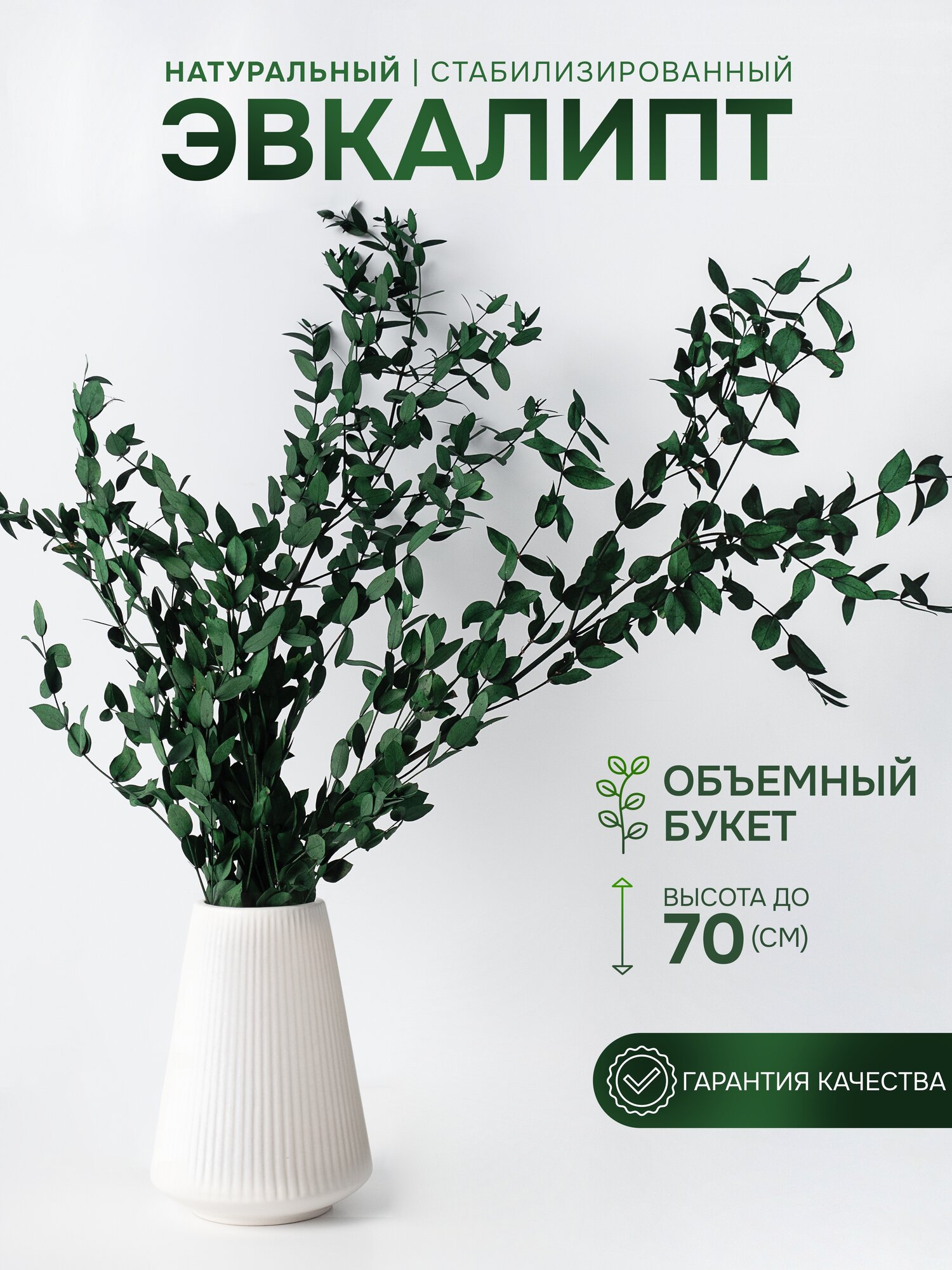Сухоцвет Эвкалипт стабилизированный Парвифолия, Сухоцветы для декора ARANTA, Букет 70 см, 200 гр