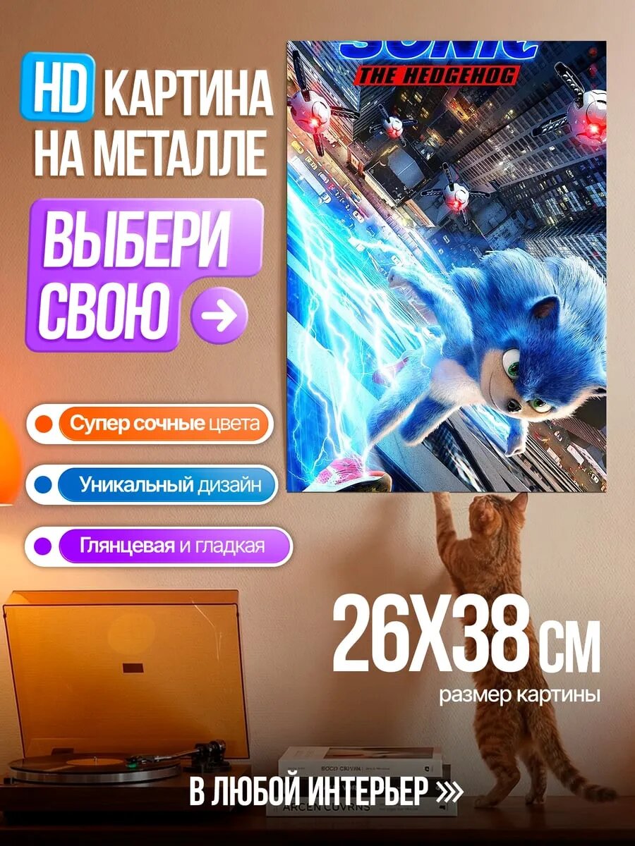 Картина на HD металле Соник в городе