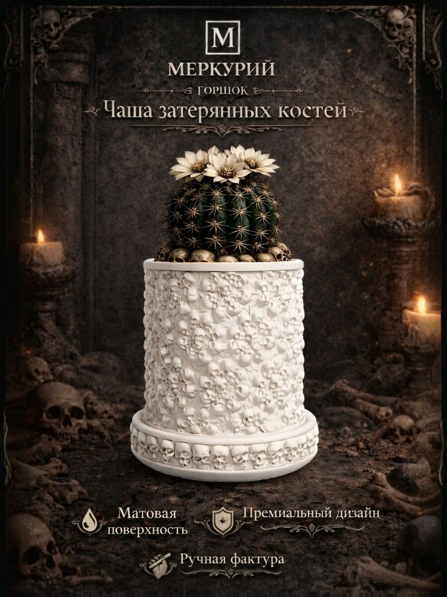 Горшок для цветов кактусов и суккулентов декоративный