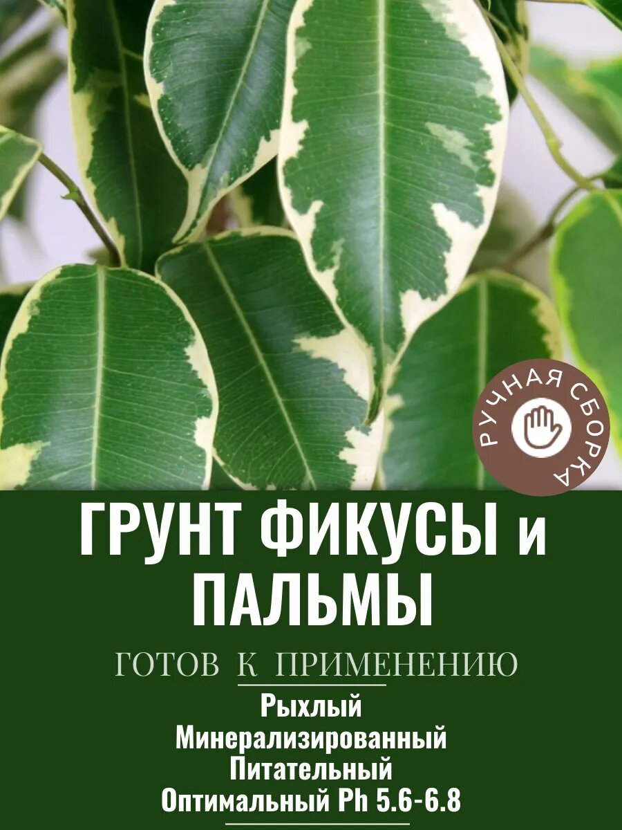 Готовый авторский грунт для Фикусов и Пальм, премиум 5 литров