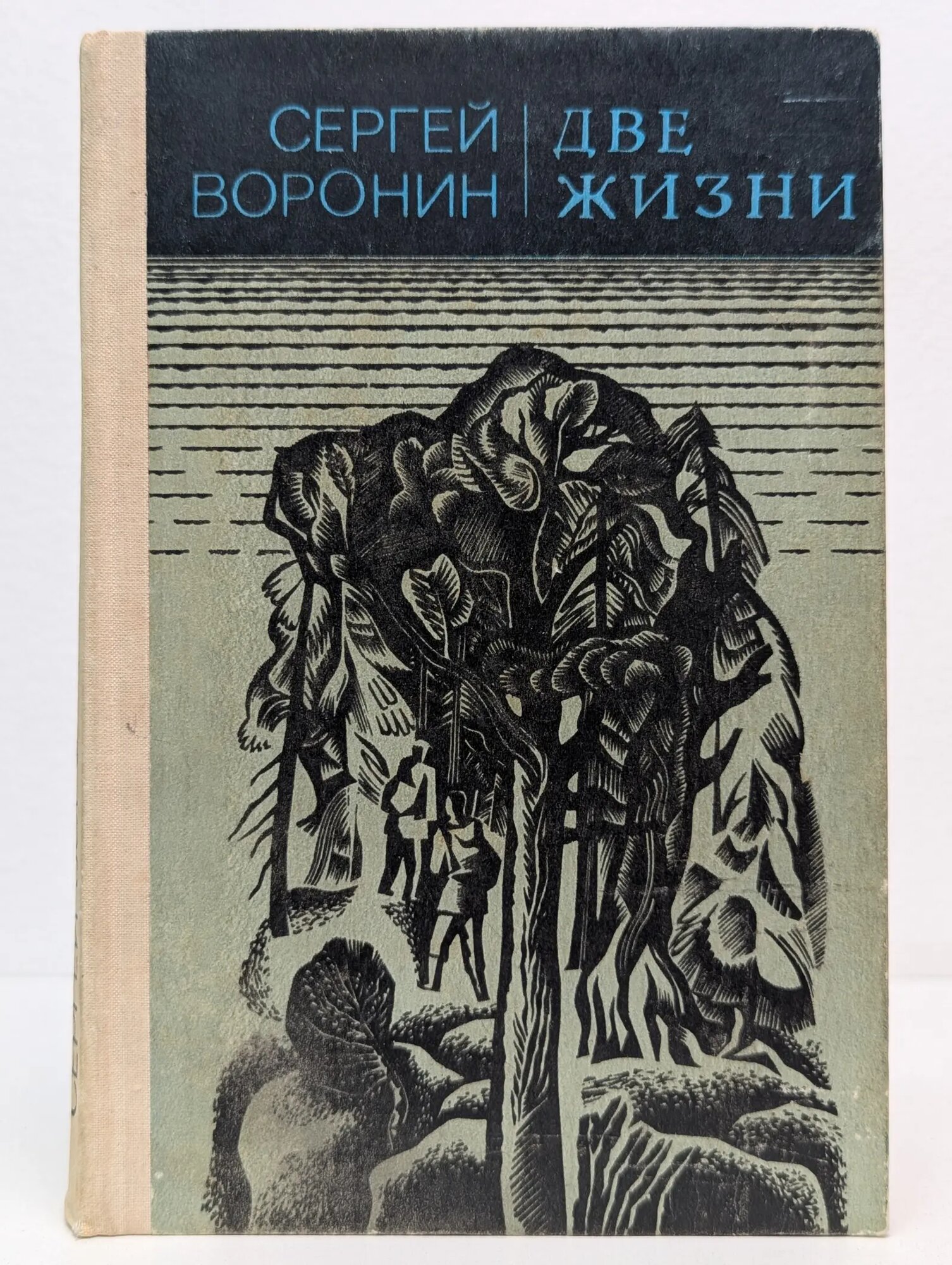 Две жизни Воронин Сергей Алексеевич 1980