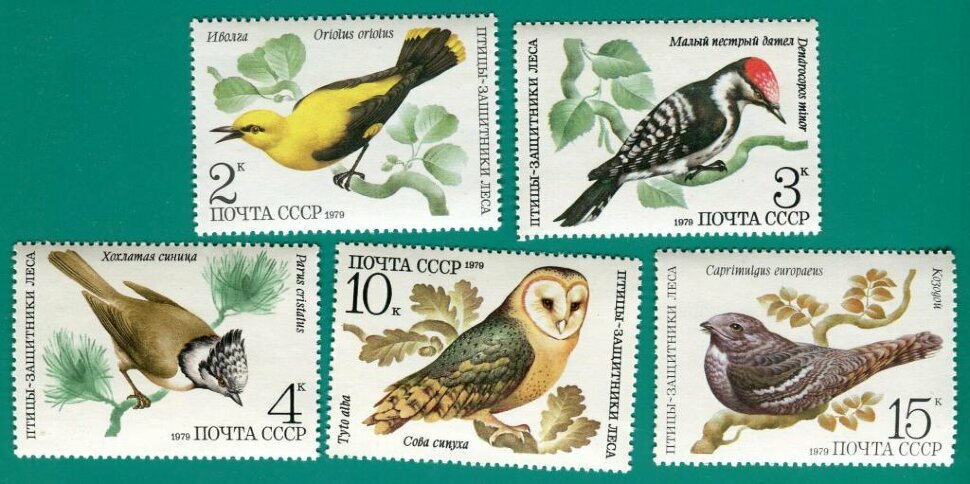 СССР, 1979. (5001-05) Птицы