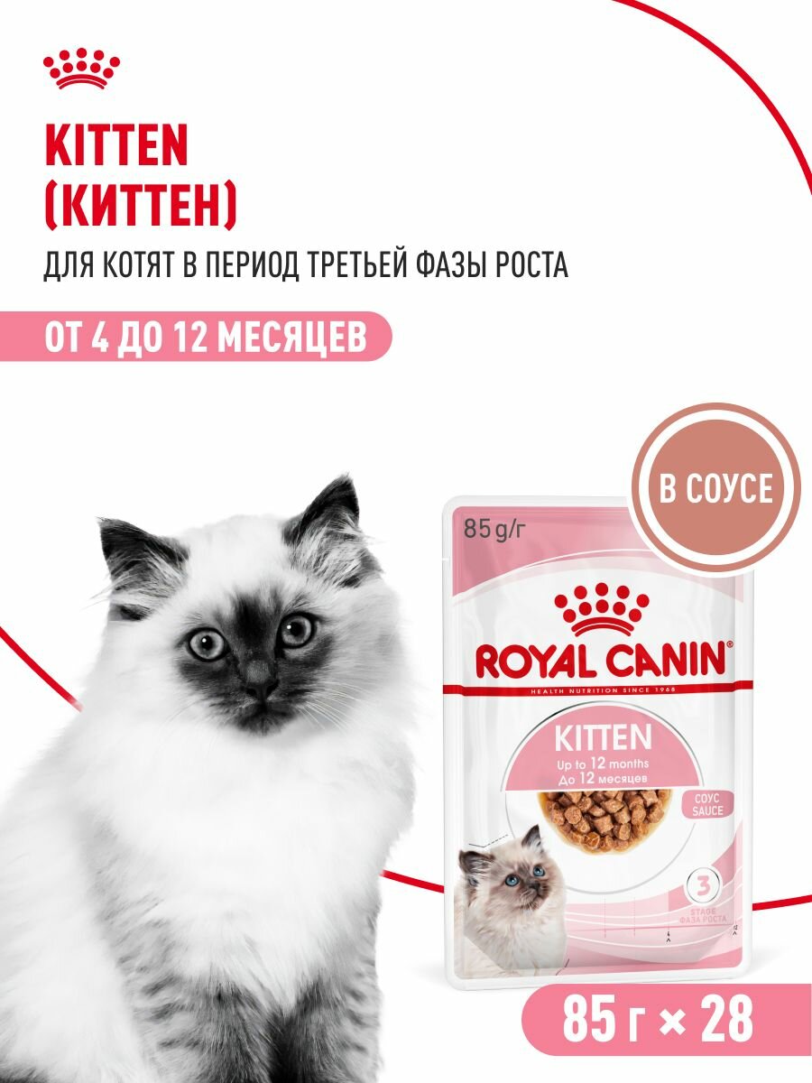 Влажный корм для котят Royal Canin Kitten в соусе 85 г х 28 шт