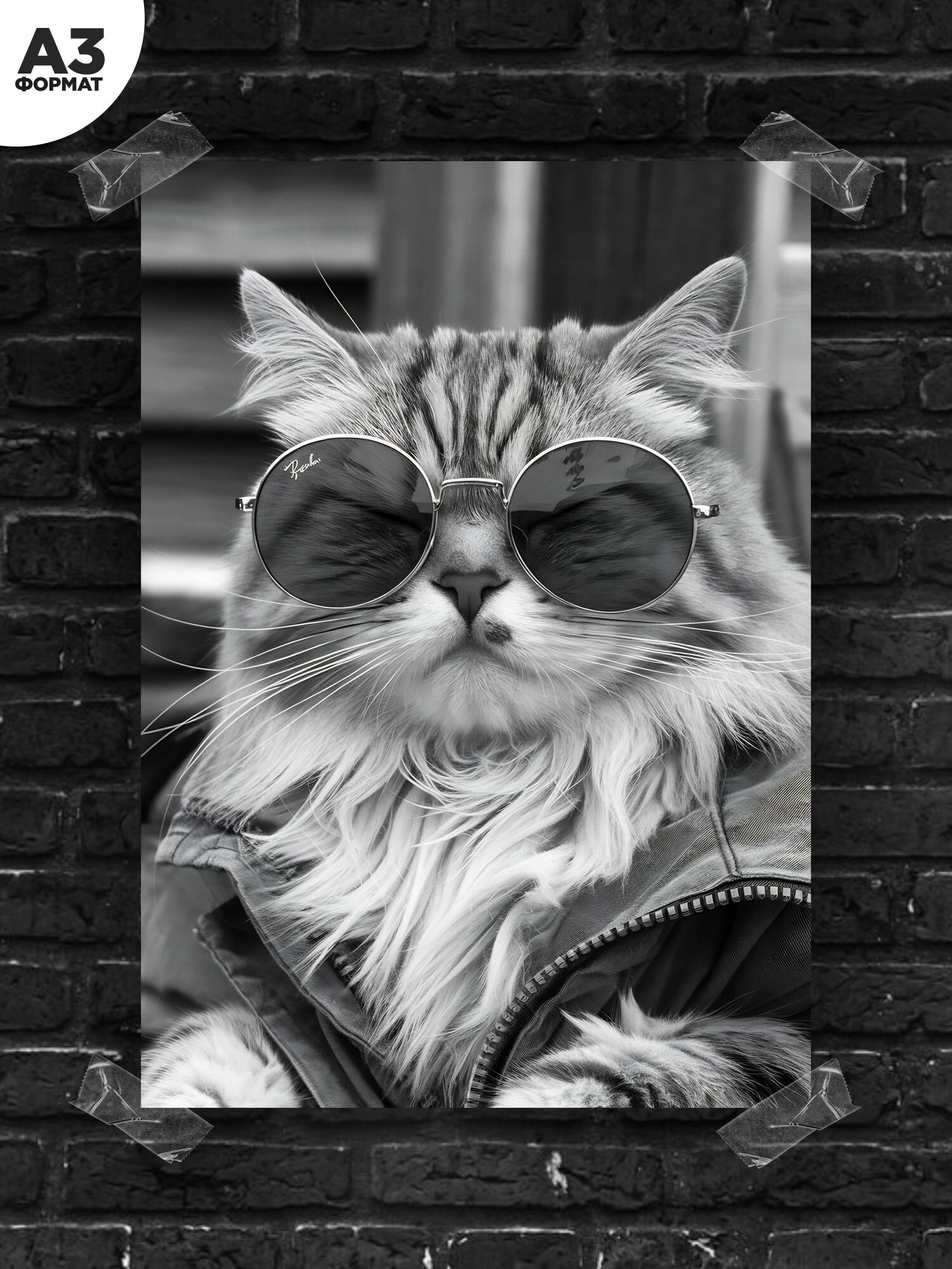 Постер Котики, Эстетика