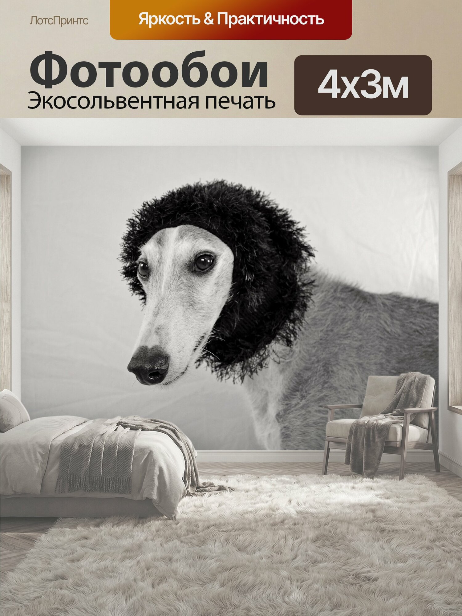 Фотообои "Собака, посмотреть, борзая" 400x300 см. экосольвентная печать