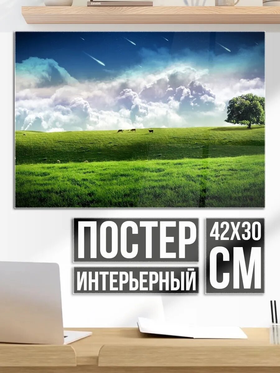 Плакат постер одинокое дерево