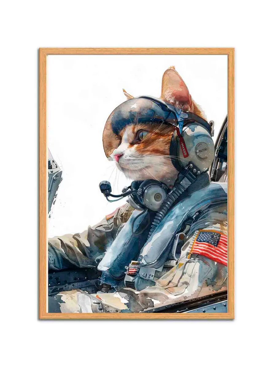 Американский Керл-кот-пилот 5, Плакат 30x42см