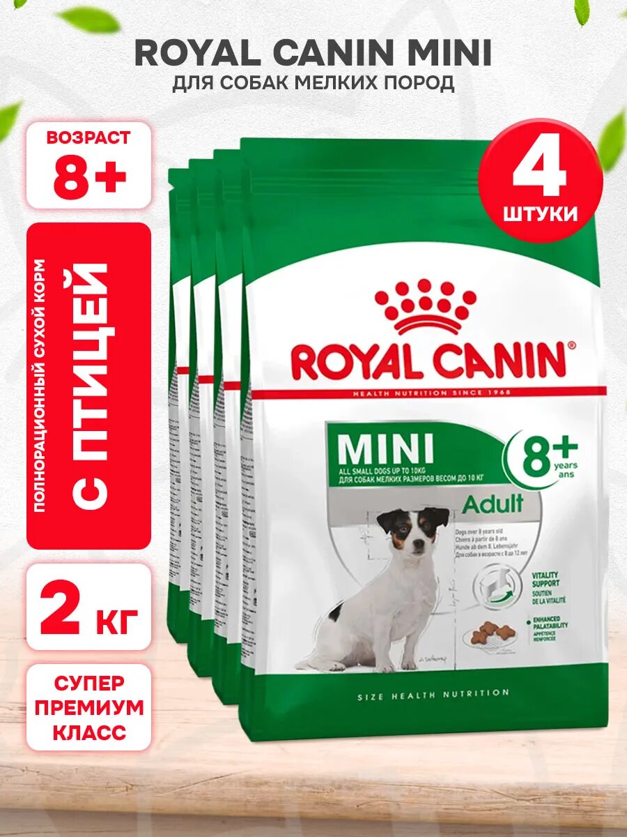 Корм сухой Royal Canin Mini Adult 8+ для пожилых собак маленьких пород старше 8 лет, 2 кг x 4 шт