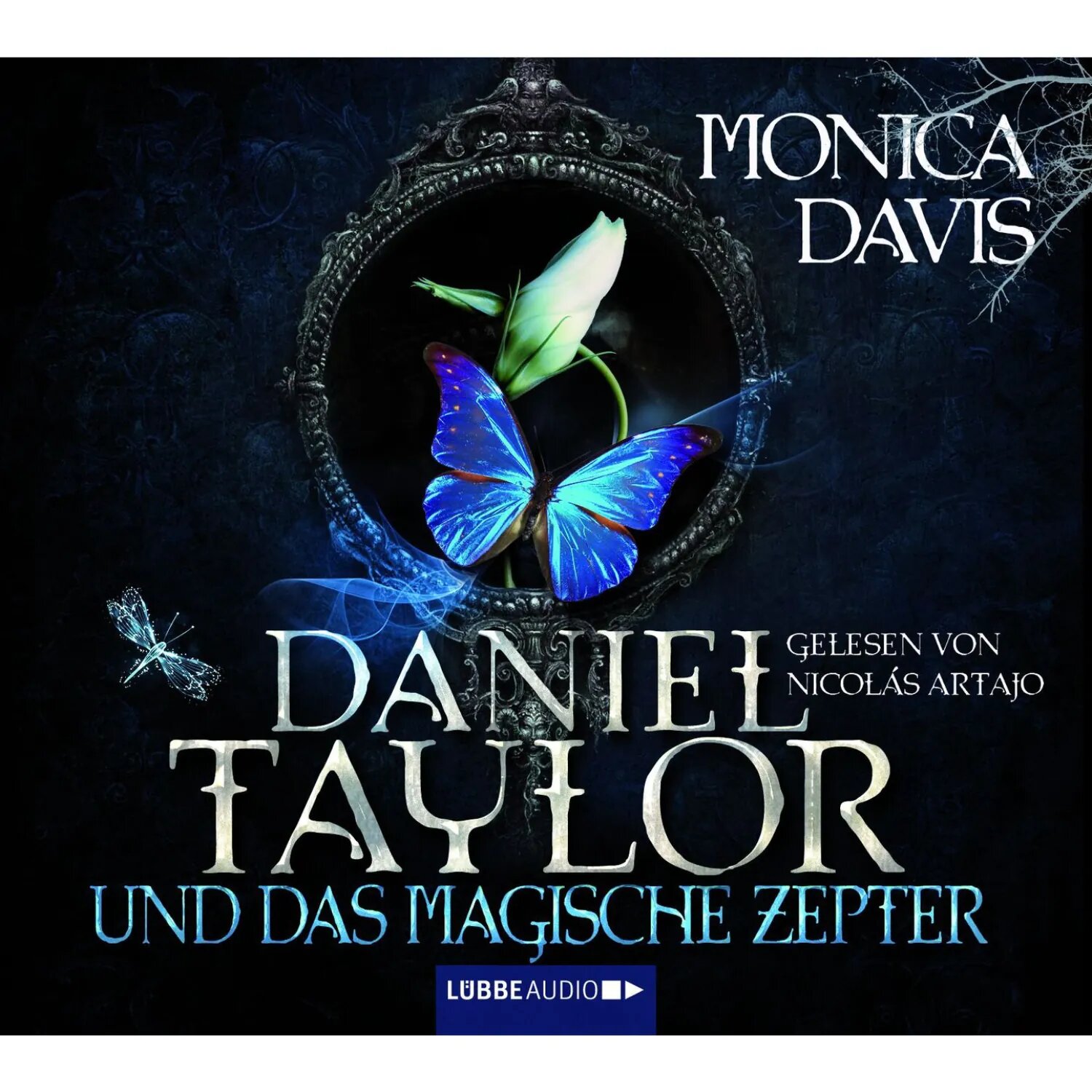Daniel Taylor und das magische Zepter [Аудиокнига]