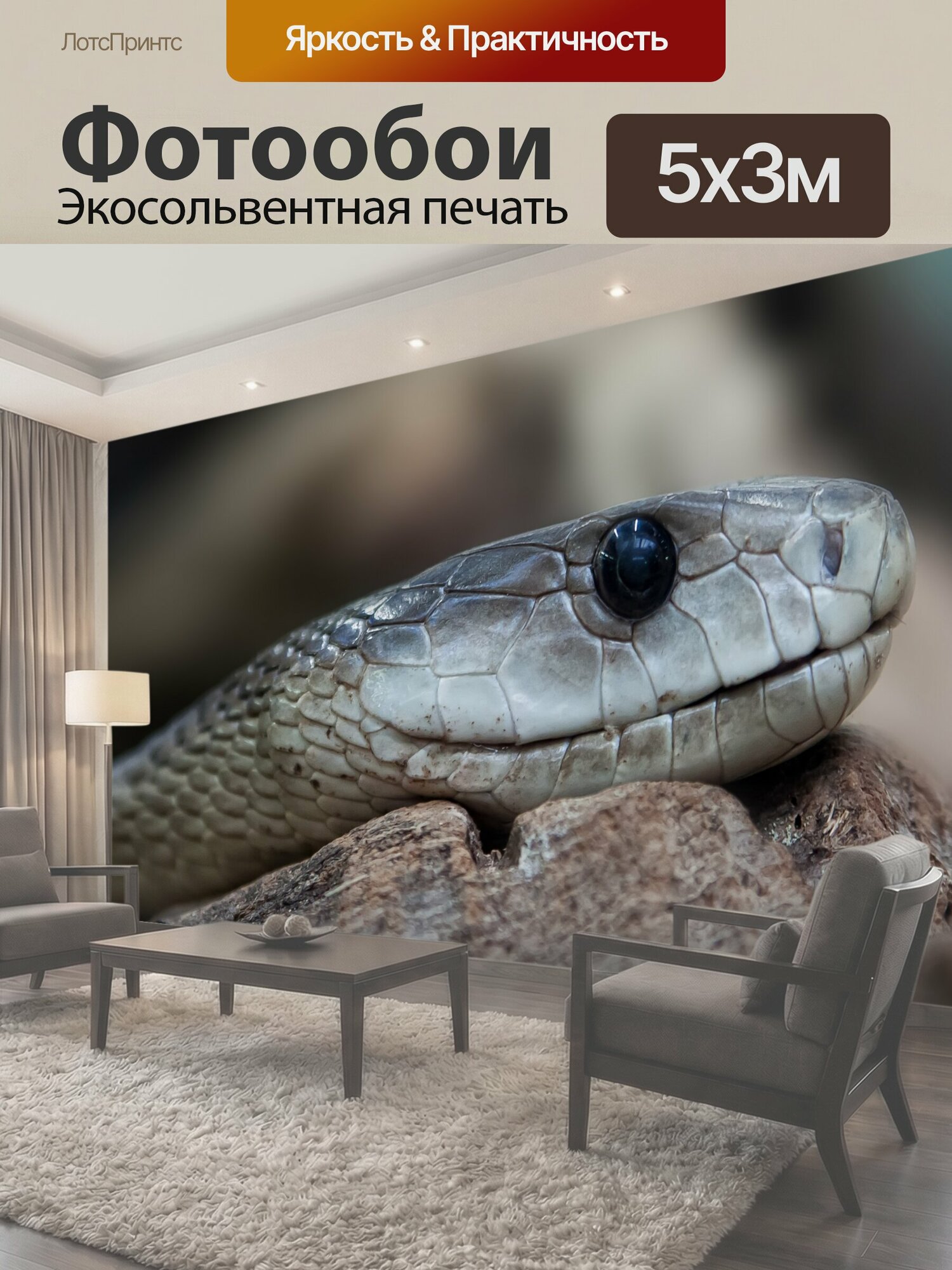 Фотообои "Мамба Viper Змея, ядовитая, опасный, террариум, гадюка, опасность, животное, тварь, подарок, погремушки, рептилии, гнев, яд змеи." 500x300 см. экосольвентная печать