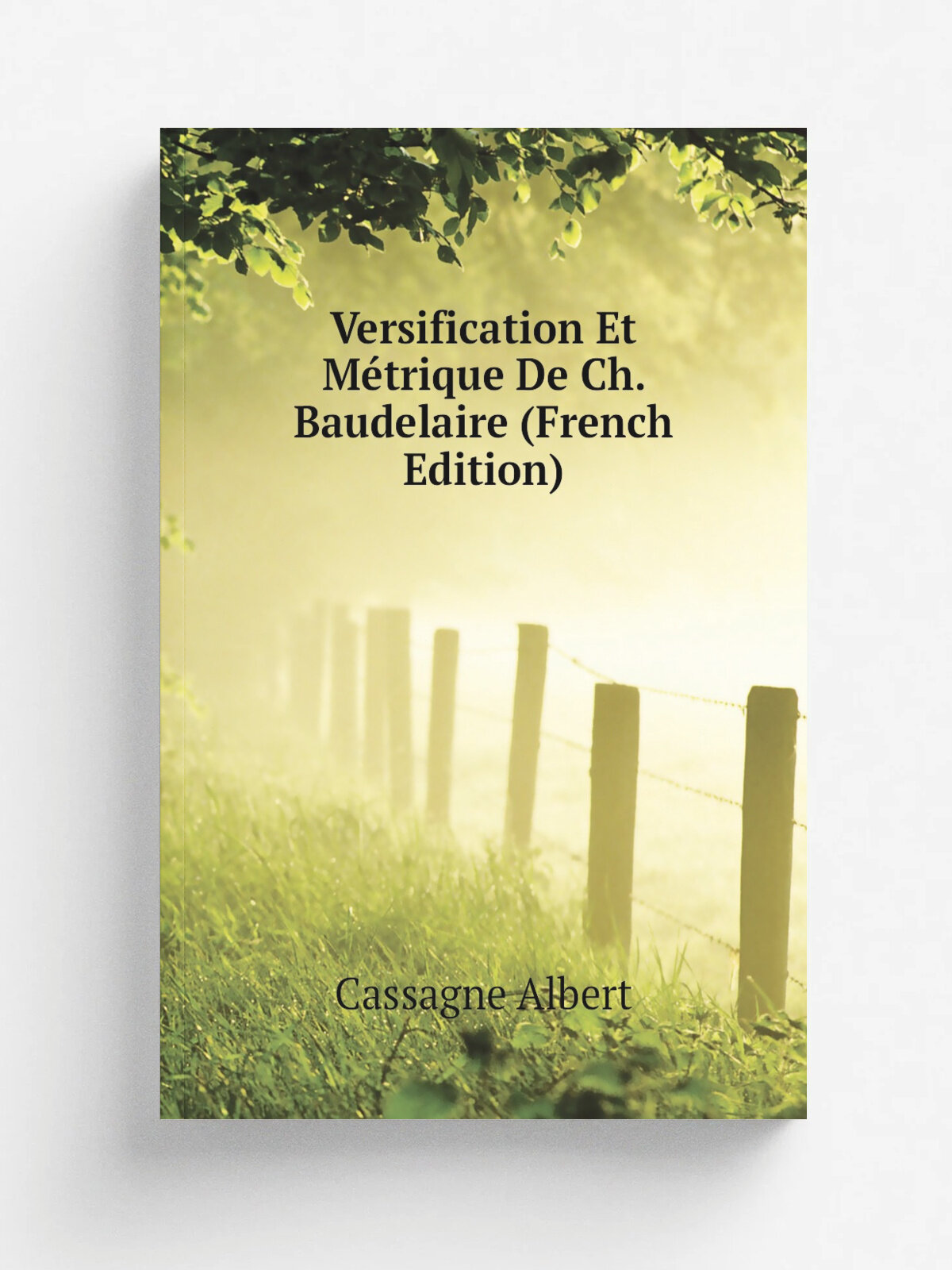 Versification Et M.trique De Ch. Baudelaire (French Edition) | Cassagne Albert | Репринт
