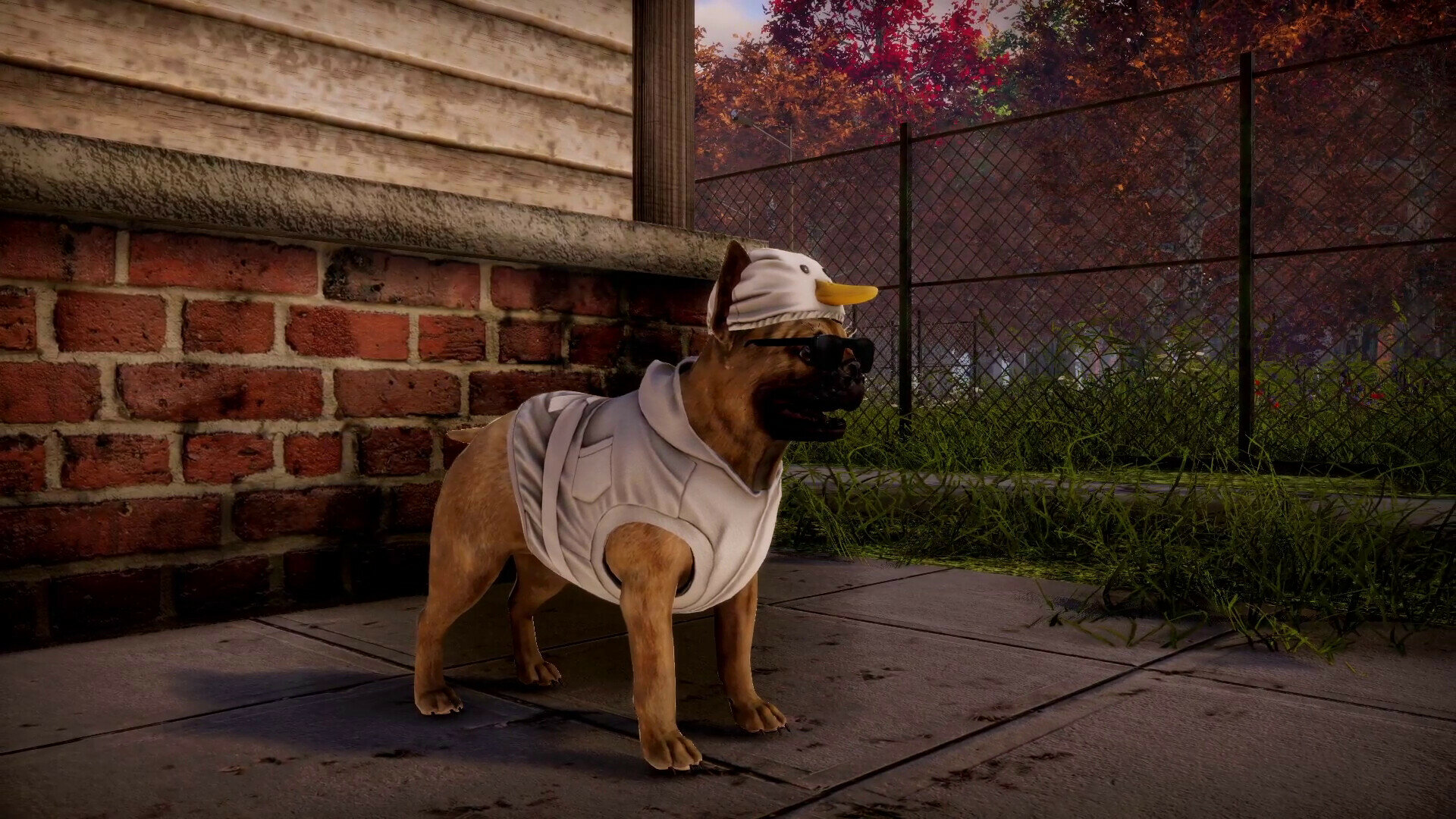 Animal Shelter 2 PC Steam Аккаунт • Активация Steam • регион Весь мир