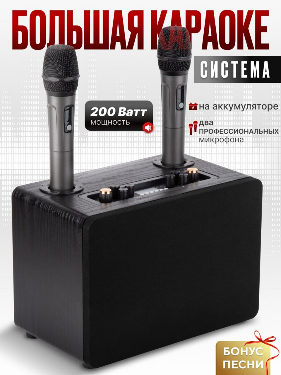 Караоке система с двумя беспроводными микрофонами SDRD TV 5.2