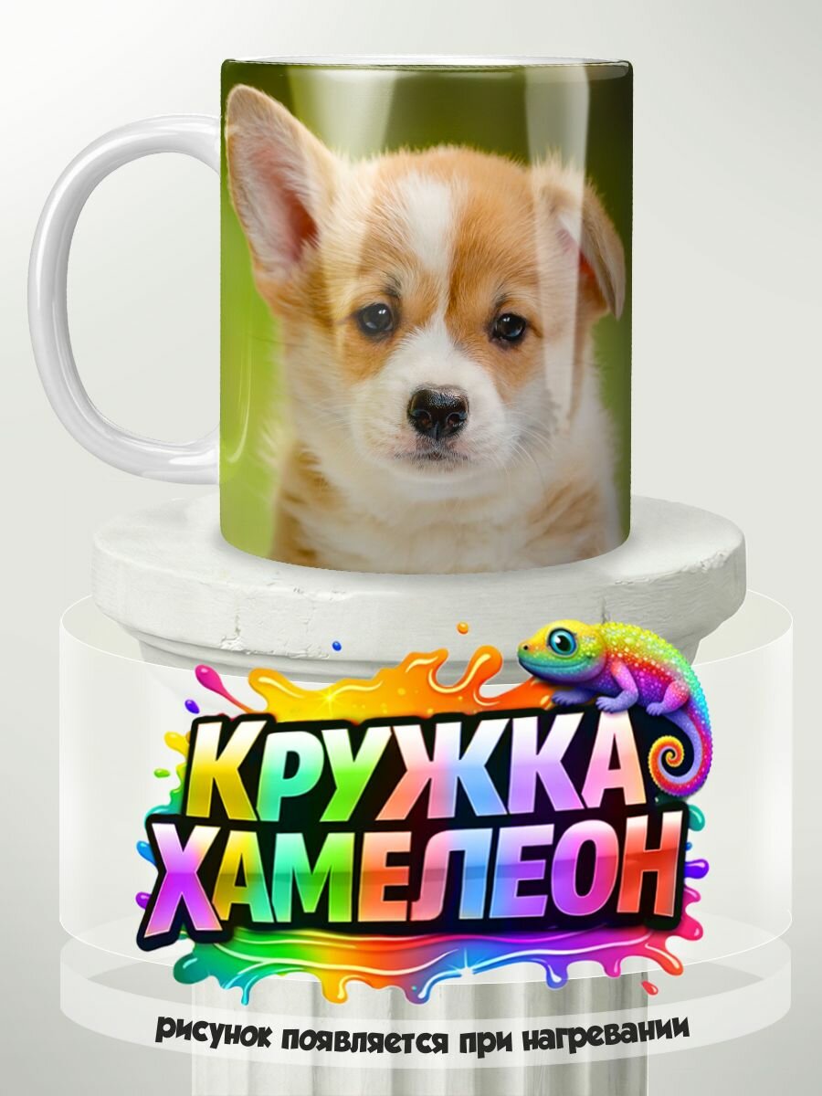 Корги - кружка Хамелеон с принтом