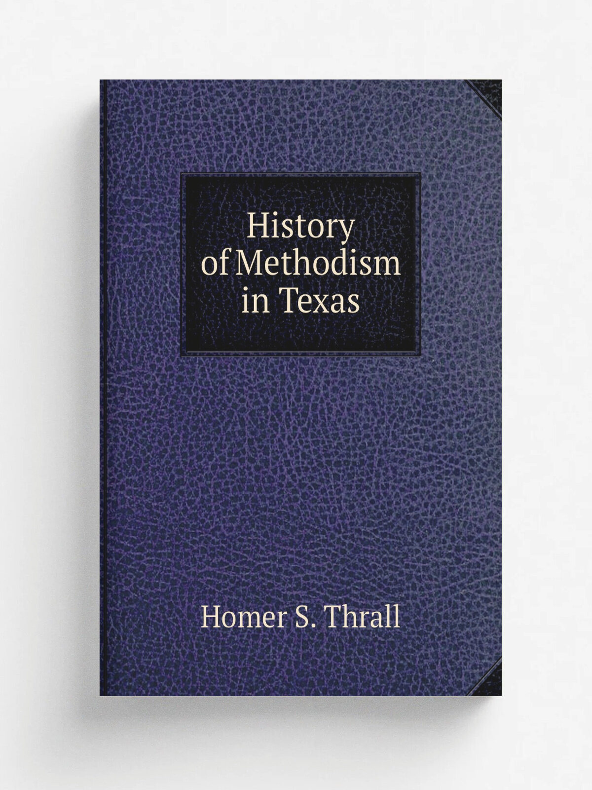 History of Methodism in Texas