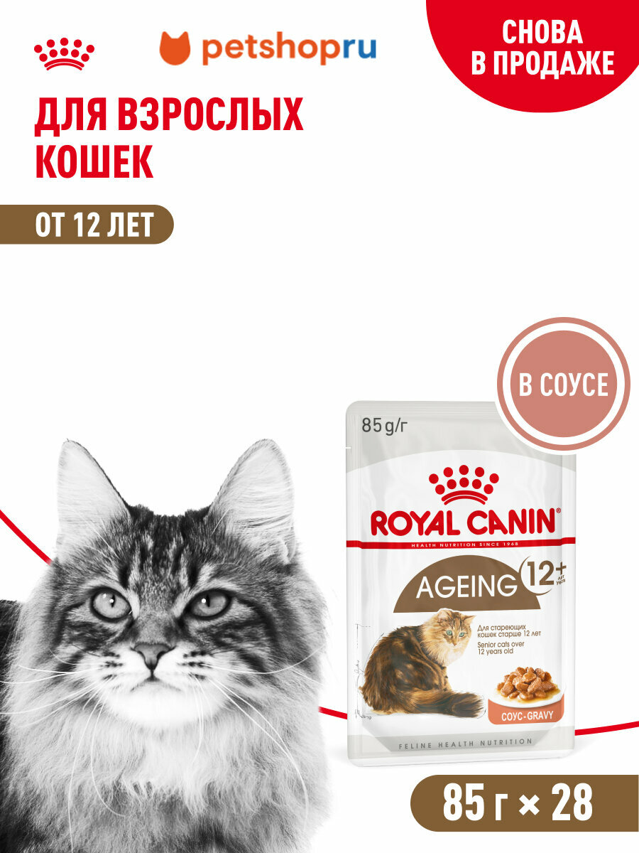 Royal Canin Влажный корм для кошек, Кусочки в соусе для кошек старше 12 лет, Ageing+12, 28 шт 85 г