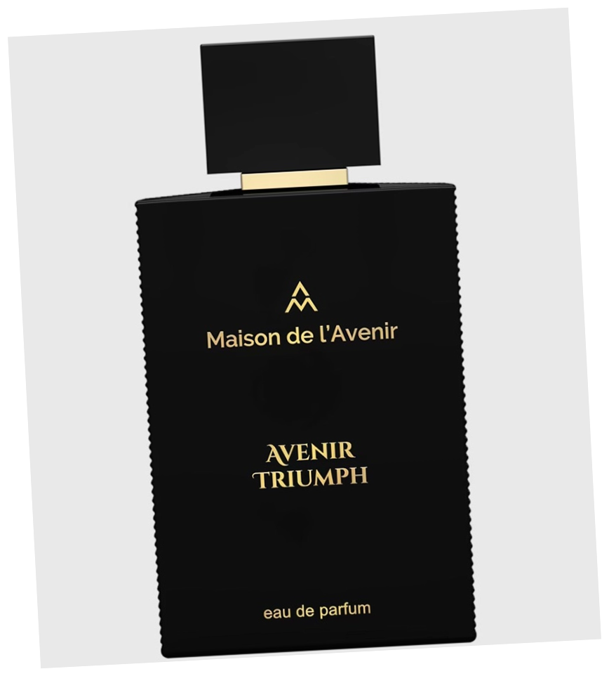 Maison De L Avenir Avenir Triumph 100 мл парфюмерная вода - Мэзон Де Лавенир Авенир Триумф