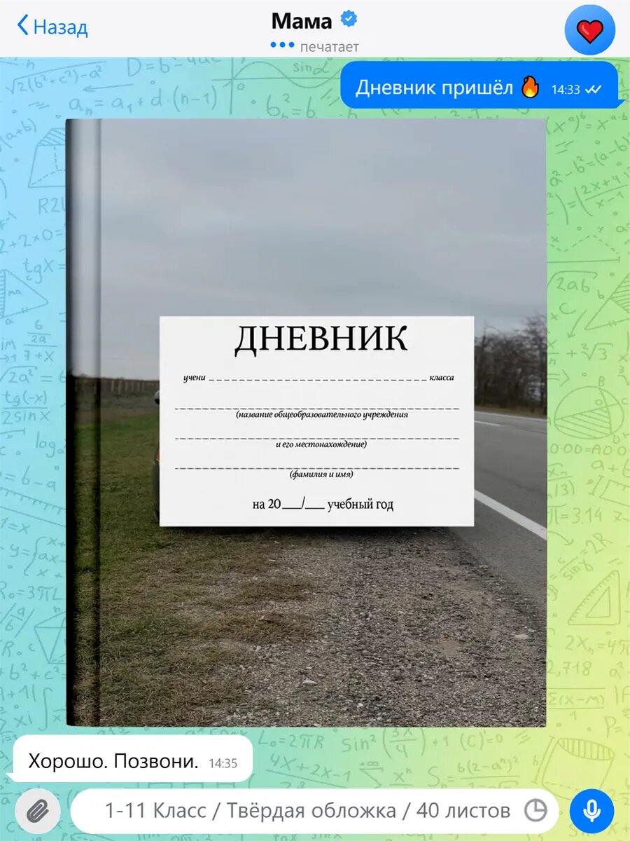 Школьный дневник с принтом Роблокс