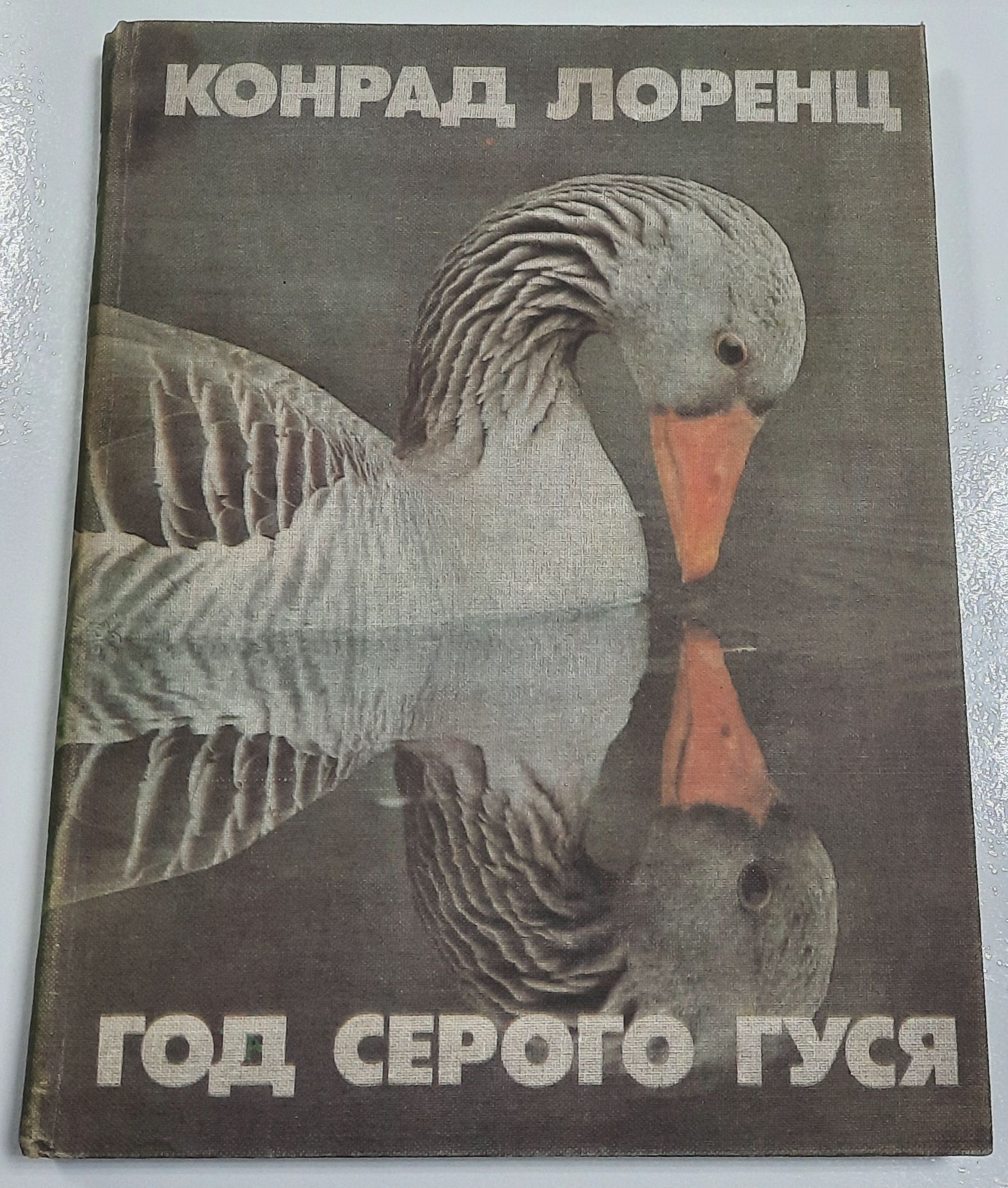 Год серого гуся