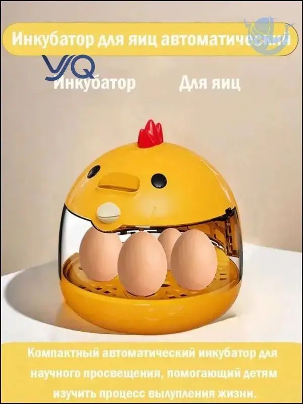 Автоматический домашний инкубатор на 4 куриных яиц, премиумверсия для перепелов инкубатор автоматический