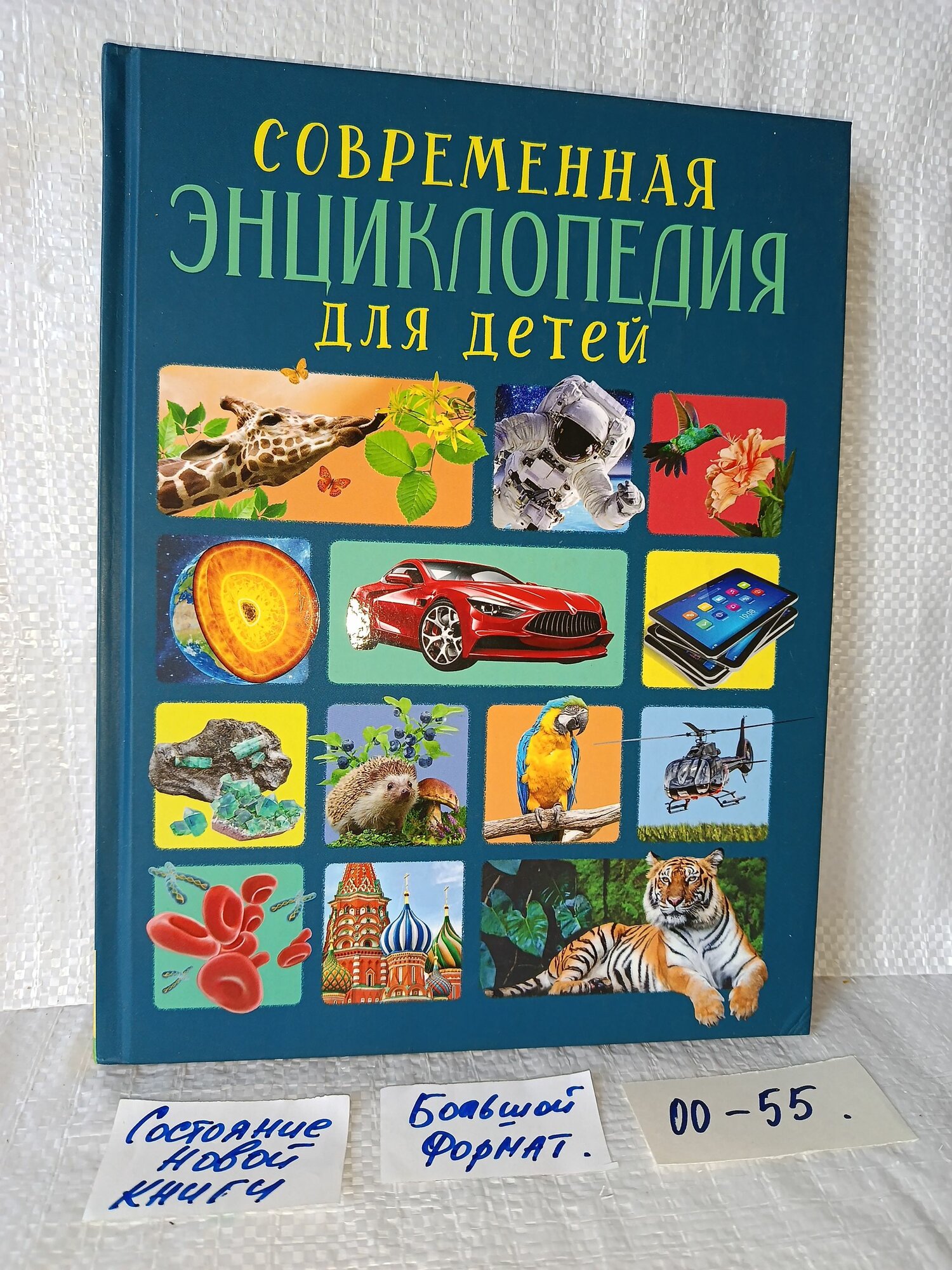 Л. Клюшник и др. Современная энциклопедия для детей.