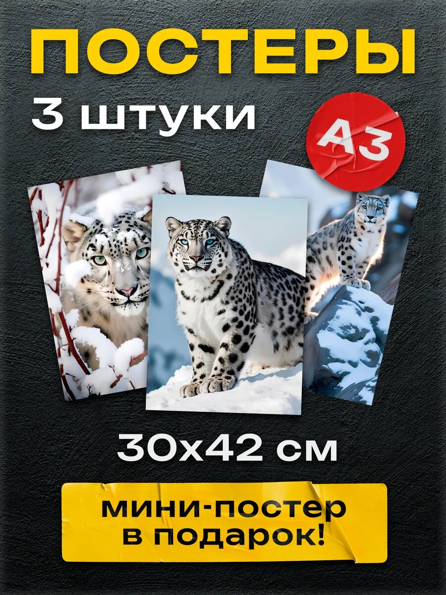 Постеры на стену Снежный барс