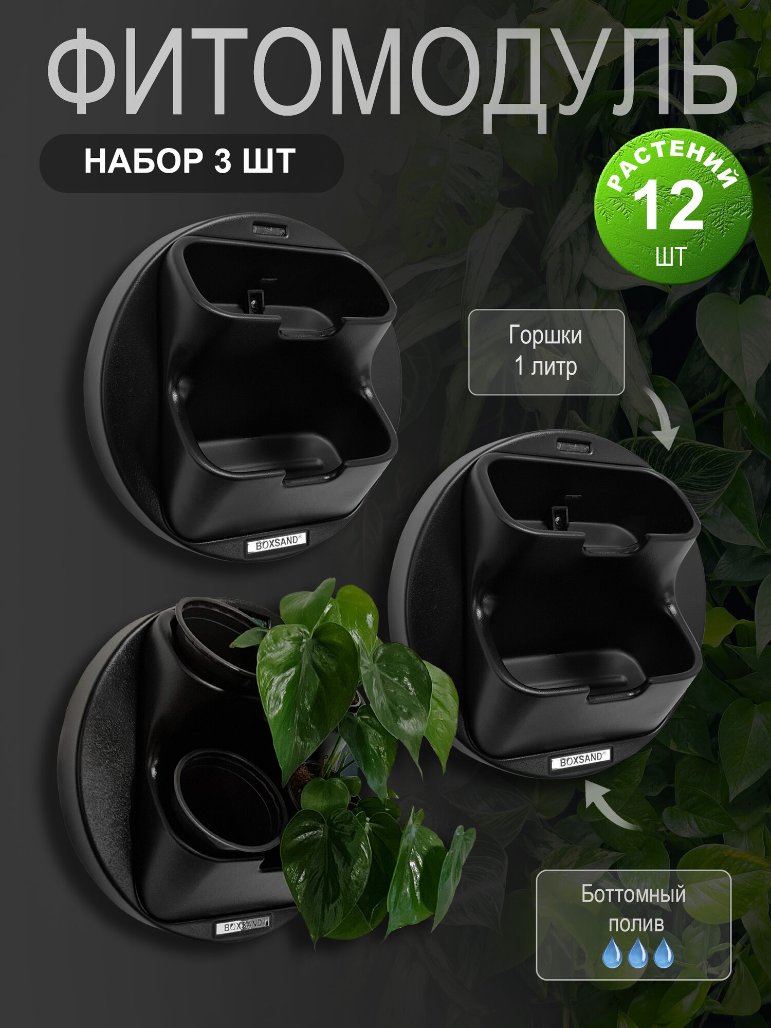 Комплект из трех фитомодулей BOXSAND-4 Ring с горшками. Цвет черный