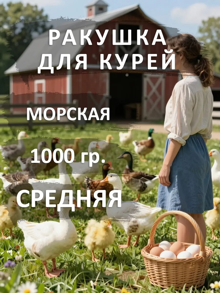 Ракушка для курей средняя 1000г
