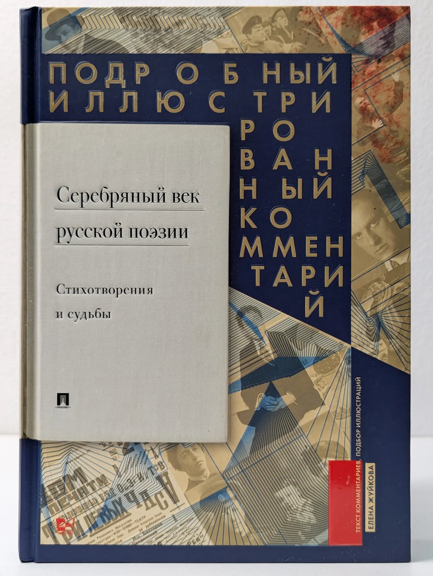 Серебряный век русской поэзии. Стихотворения и судьбы Жуйкова Елена Викторовна 2024