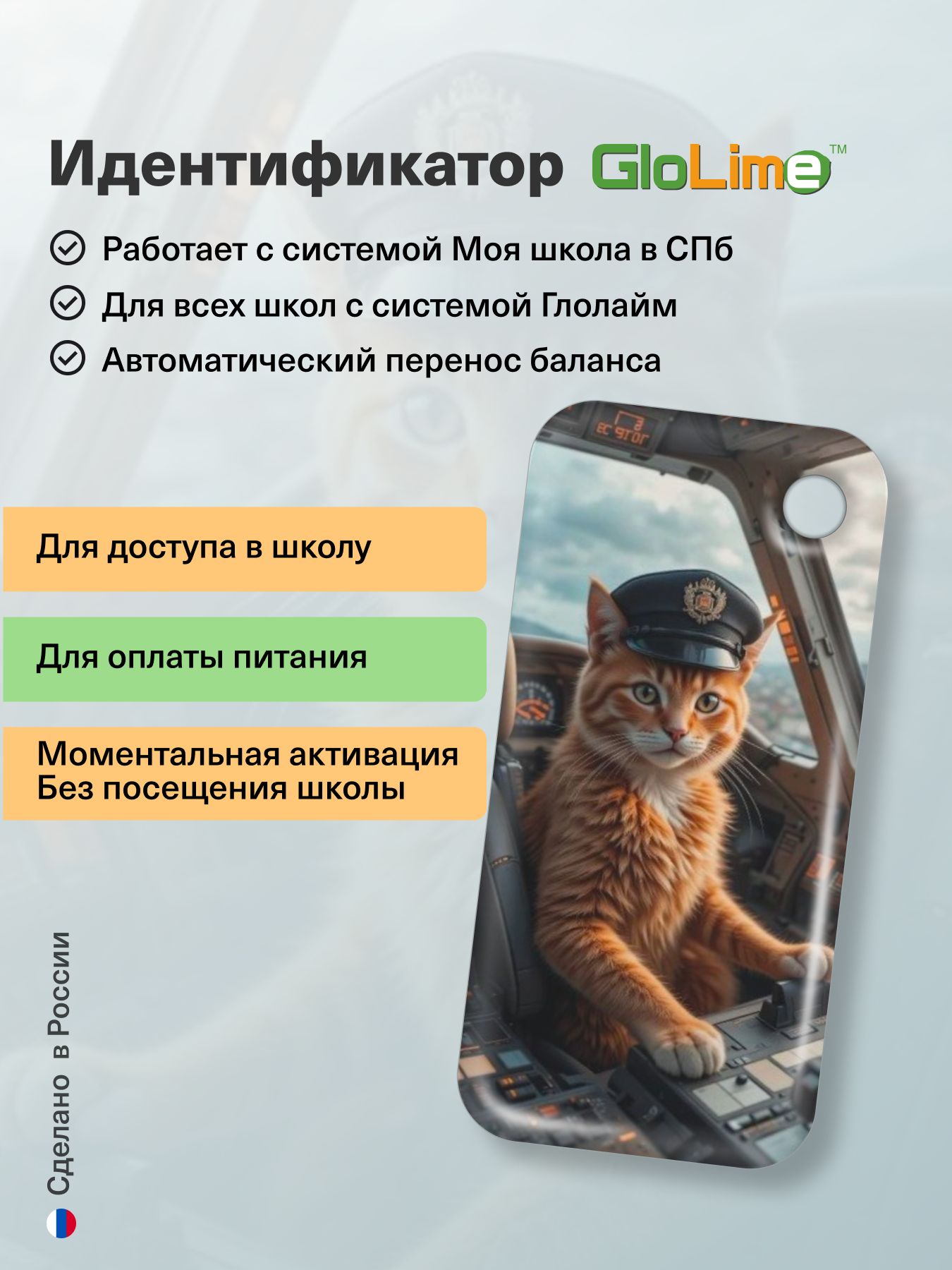 Идентификационный брелок "кот-пилот"