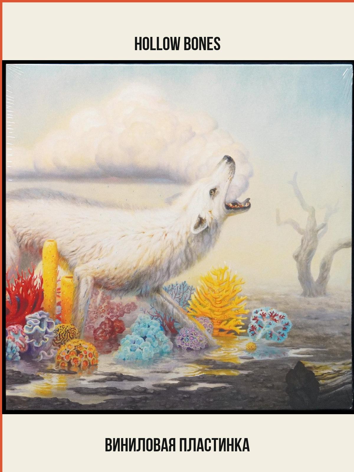 Виниловая пластинка Earache Rival Sons – Hollow Bones