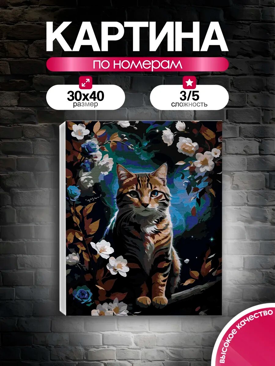 Картина по номерам 30x40 Полосатый кот