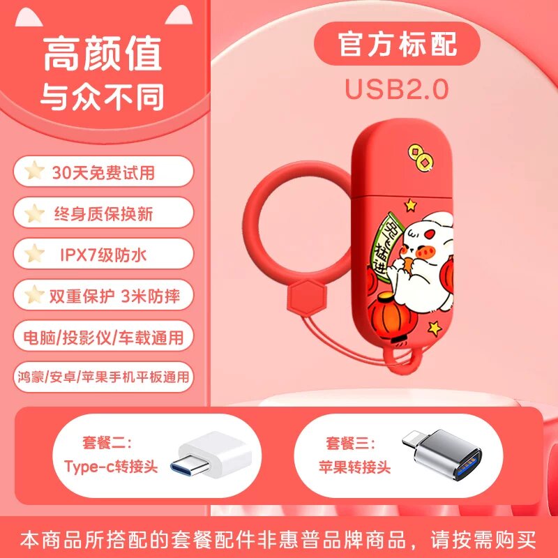 64GB USB-флешка с рисунком Скачущего Кролика - Идеальна для компьютера и ноутбука